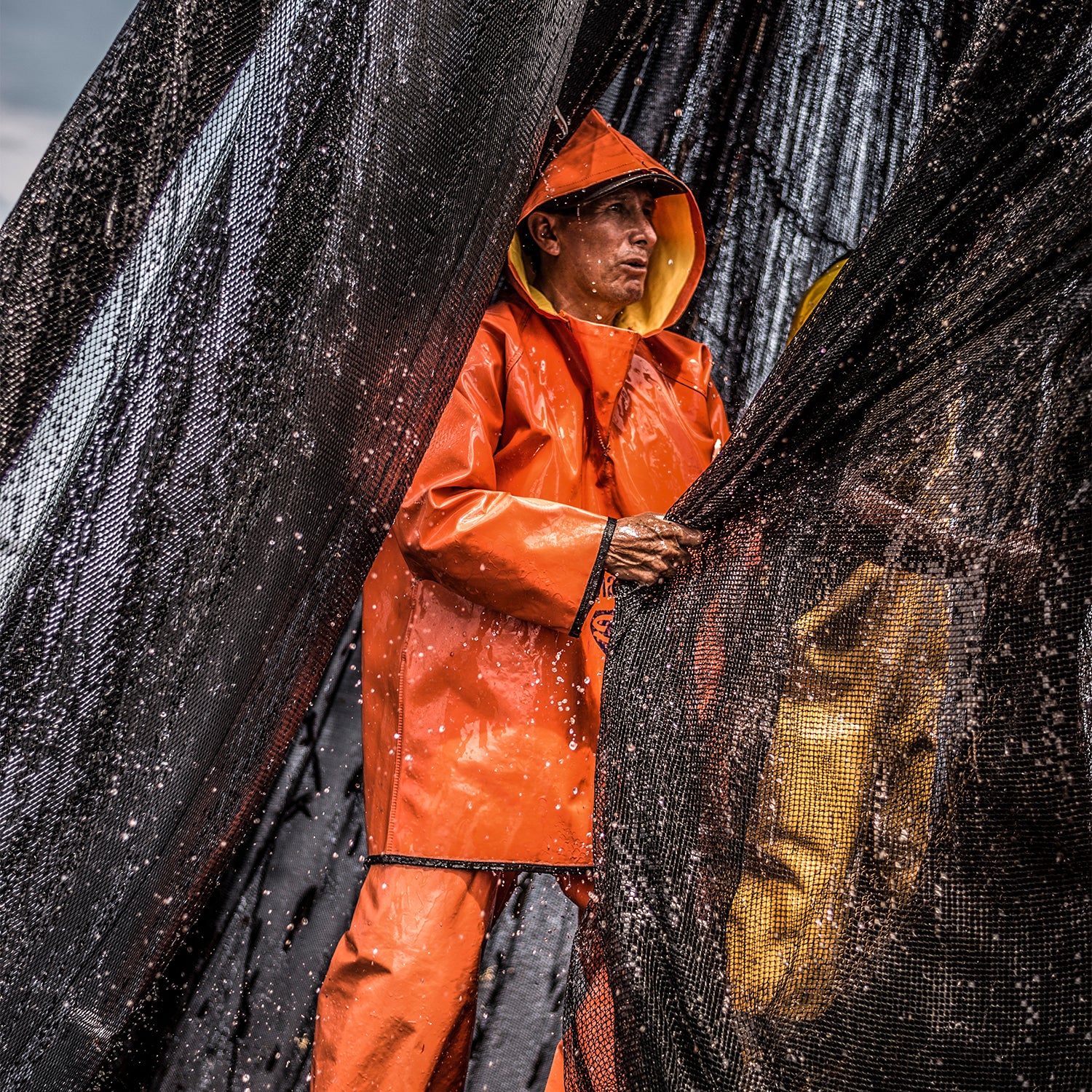 Markets – Bluefish Perú