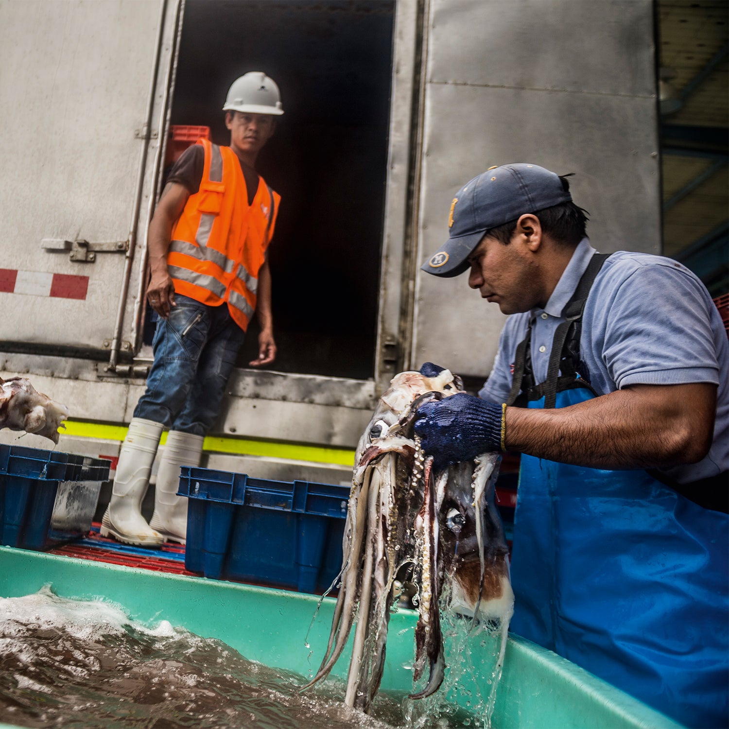 Contact – Bluefish Perú