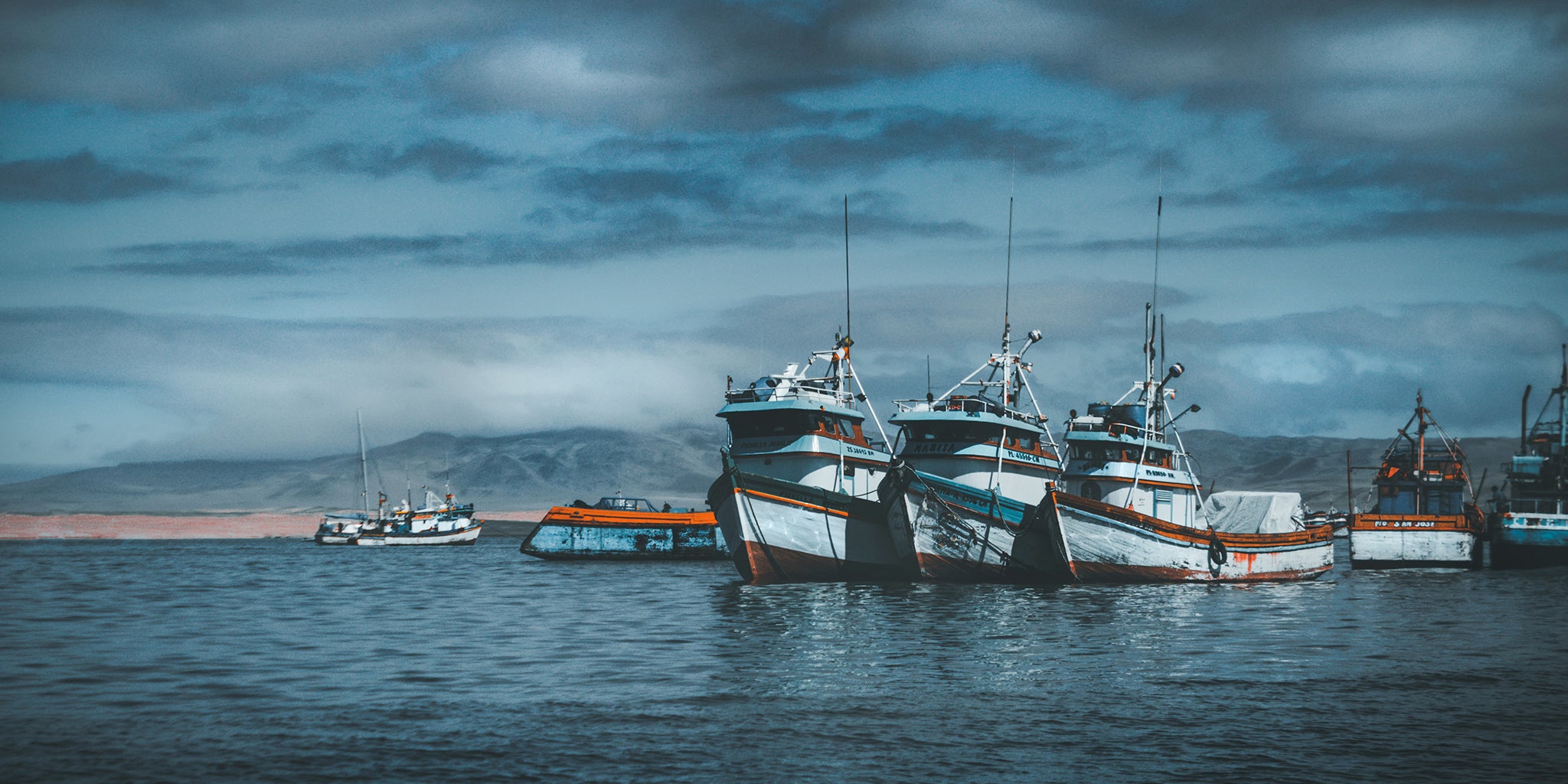 Bluefish Pacific – Bluefish Perú